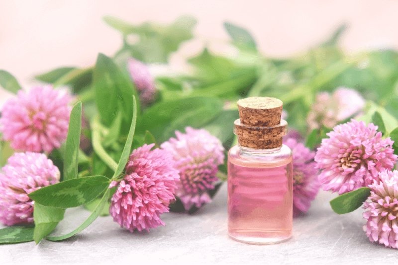 The many essential oil benefits and advantages you need to know!-Oleia Oil